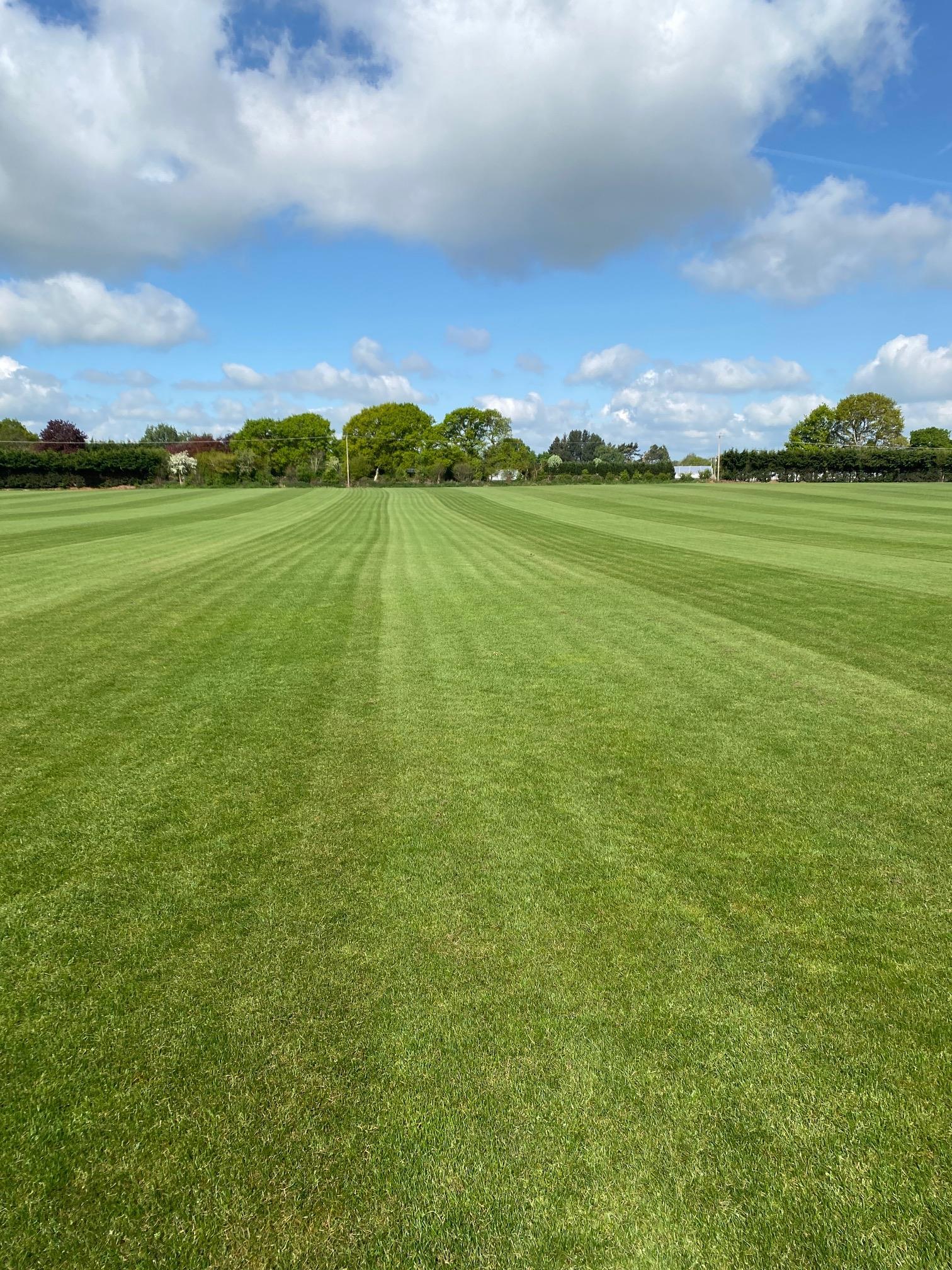 Domestic Turf – Wrekin Turf